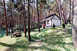 Complex Parc Pini - Cazare Moinesti | Complex Parc Pini Moinesti